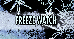 Freeze watch issued for this weekend | Princeton Herald