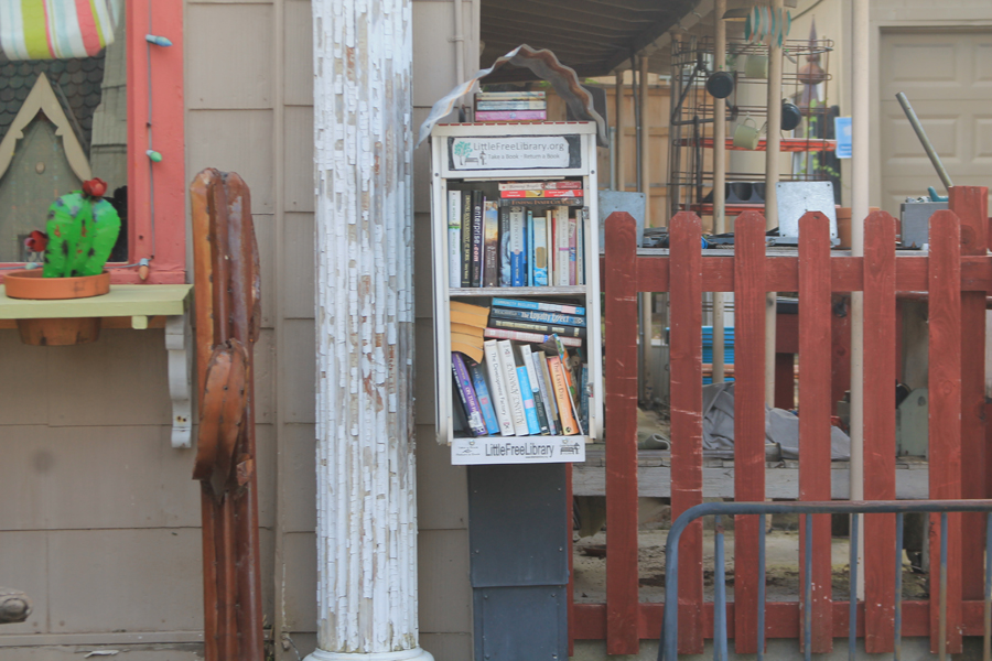 Area Little Free Libraries promote reading | Princeton Herald