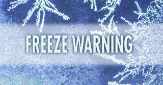 Winter weather warning remains in effect | Princeton Herald